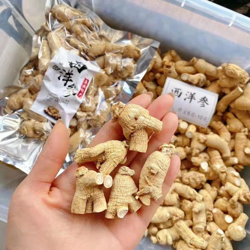 草参东北花旗参小粒头干货吉林长白山西洋参长条洋参250g