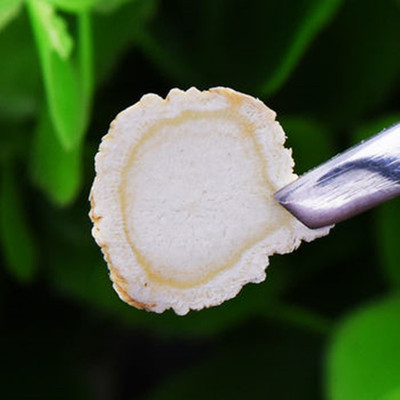 花旗参西洋参切片500g特级5年
