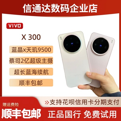 vivoX300全网通双卡大电池大内存