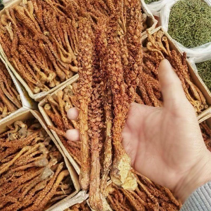 草苁蓉 精选列当长鞭草神仙草东北特产炖汤泡水