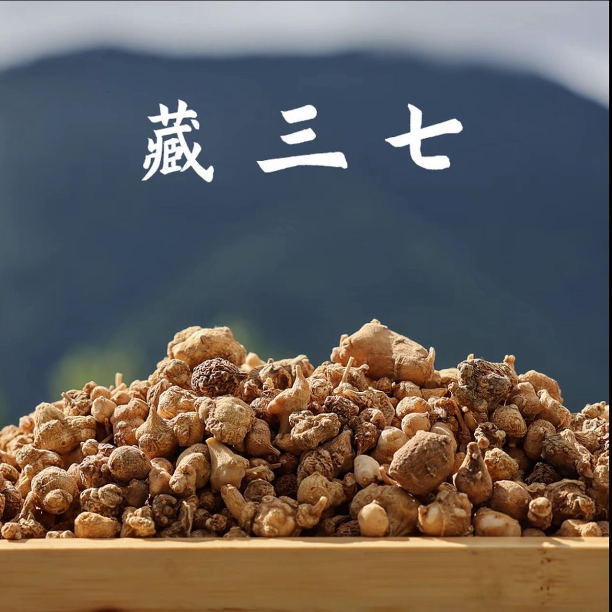 【藏三七】西藏高原藏三七自然晒干高海拔山货