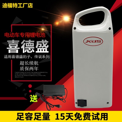 全新足容量锂电池喜德盛48V