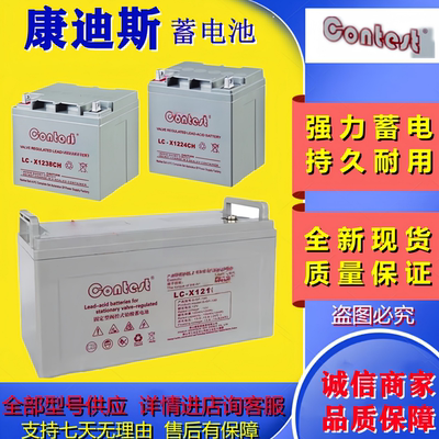 康迪斯蓄电池LC-X12100CH12A17A24A33A38A40A65AH100AH200A UPS用