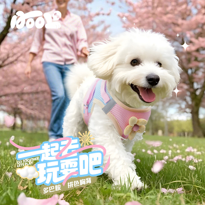 博美狗狗专用宠物幼犬牵引绳子不勒脖比熊遛狗胸背式牵引绳小型犬