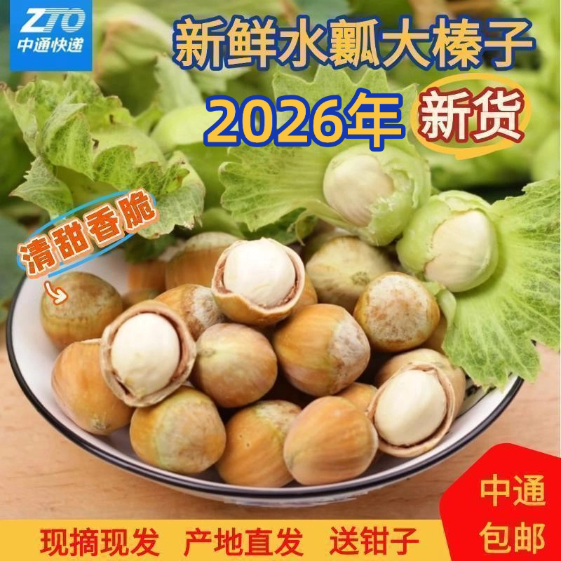 2026年新鲜大榛子东北带绿皮水仁水瓤桓仁鲜生榛子新货特产