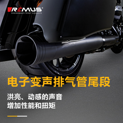 remus进口街道电子变声排气筒