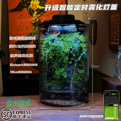 bioloark微景观生态瓶