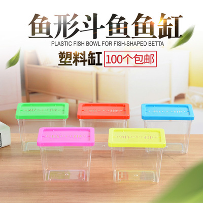 小鱼塑料透明乌龟缸新款