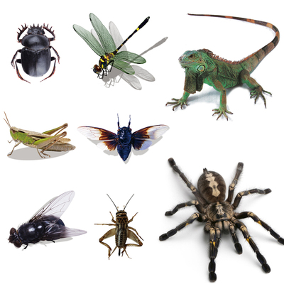 3d立体墙贴自粘防水冰箱贴汽车贴