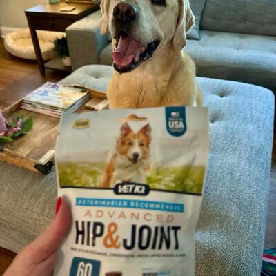 【现货】VetIQ 狗狗加强版髋关节软咀嚼片UC-II +MSM+ Omega-3