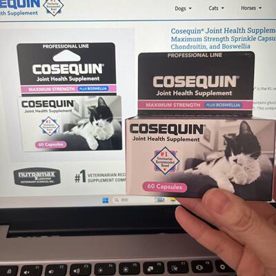 【现货】猫咪 Cosequin 盐酸氨基葡萄糖+软骨素 乳香胶囊专业系列