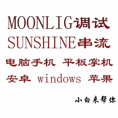 Moonlight +sunshine IPV6 月光 远程串流PC调试+咨询 一对一服务