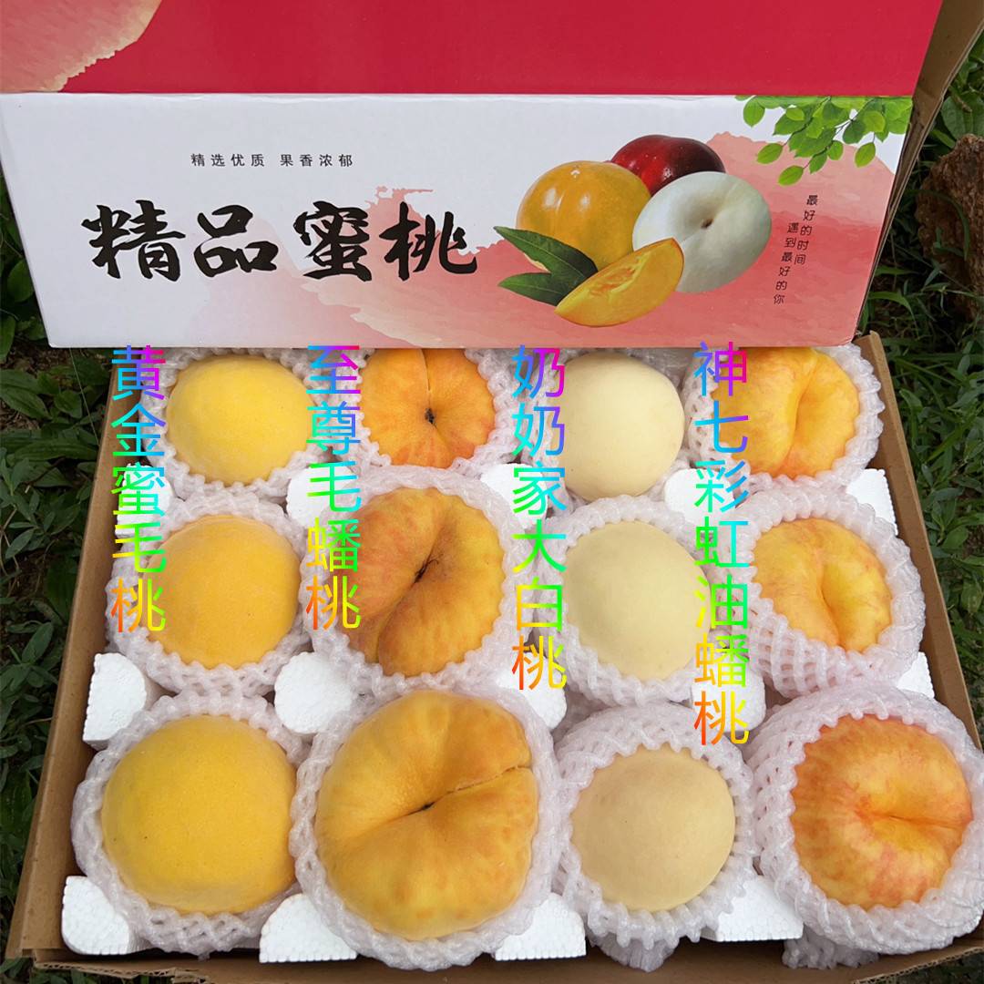 【蒙阴桃气四宝】至尊毛蟠+黄金蜜+彩虹油蟠+白桃5斤新鲜水果代发