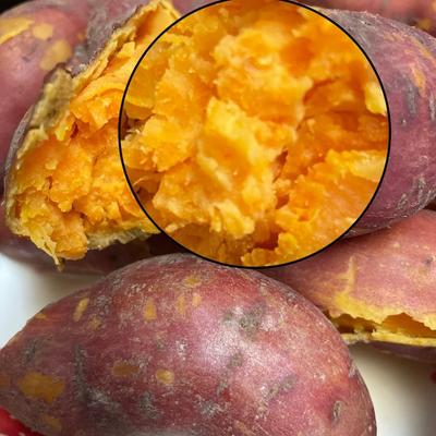 揭西大洋番薯 农家自种山红肉红薯 高山番薯送礼佳品广东省内包邮