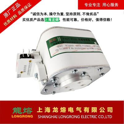 快速熔断器RS8TAC1000V2200AP106N4DHBC100KA上海龙熔