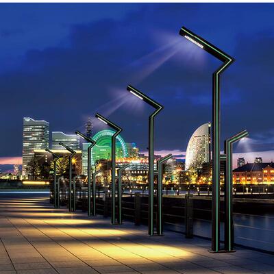 双子星款现代庭院灯户外江边散步路照明特色LED铝型材庭院灯