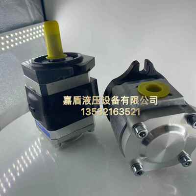 德国ECKERLE艾可勒伺服油泵EIPC3-064RA23-10艾可乐齿轮泵