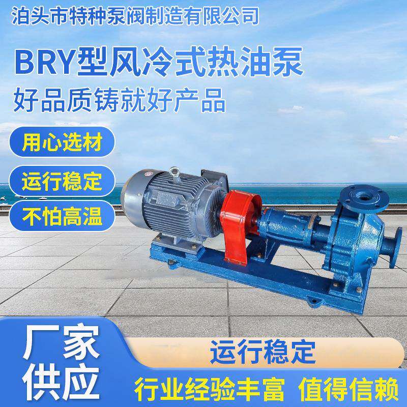 BRY型风冷式导热油泵高温热油泵油脂离心油泵单悬臂式自然散热油