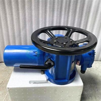 水电站执行器DZW15-24普通开关型电动执行机构IP68防水等级380V