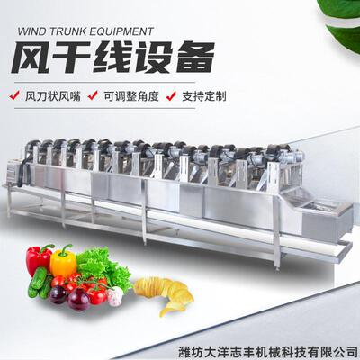 全自动生姜风干线现货供应薯片吹干设备自动翻转胡萝卜丝风干线