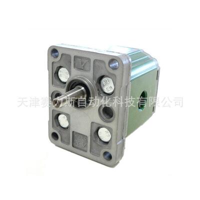 齿轮泵XV1P(XP105)液压马达