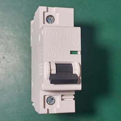隆马电器 微型断路器125A 单极 1P mcb 单相一极断路器100A