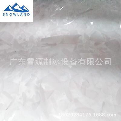 Snowland20吨大型果蔬预冷片冰机农产品冷链高效制冷