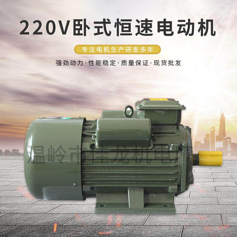 220V卧式交流电动机机械设备用电机2.2W四级大功率单相高功率