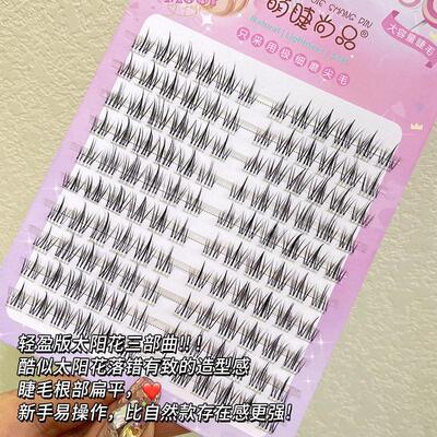 Natural Lash Clusters 120pcs Individual Eyelashes Wispy