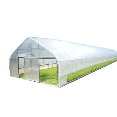 天津厂家易单冷棚温TUL室蔬体菜花卉春秋棚薄简膜日光种植棚