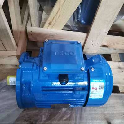 TECO东元三相异步感应电动机立式马达AEUV3N 1.5KW 4P电机