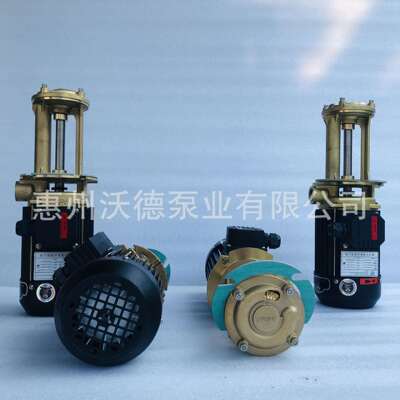 惠沃德立式机床泵WML-07液下泵铜泵体不锈钢泵体热水热油冷却泵