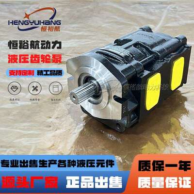 凯斯帕CASAPPA齿轮泵KP30.19,5-A5S9-LMD/MB-KSL/GS/30铸铁液压泵