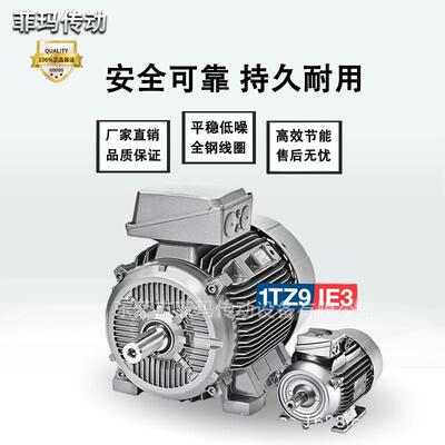 供应挪威LONNE电机1TZ9系列IE3电动机马达