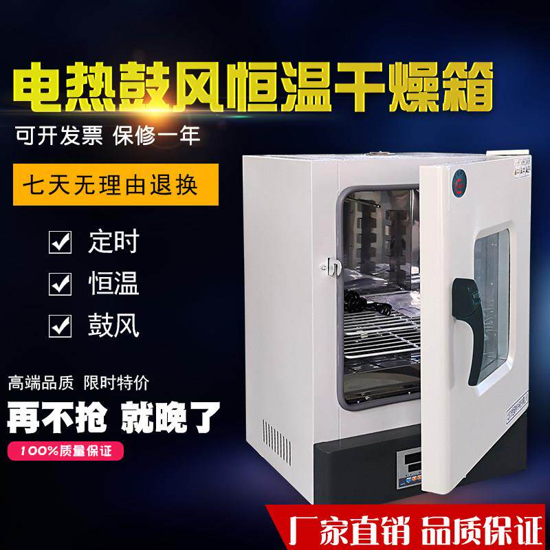 DHG型电热鼓风干燥箱恒温烘箱汽车大灯烤箱高温老化试验烘干箱