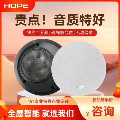 向往HS888 重低音超薄65mm智能背景音乐吸顶音箱天花吊顶喇叭音响