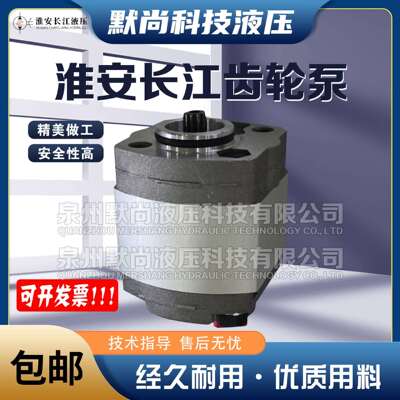 淮安长江齿轮泵RGP-F106/F111/F113/F116/F201/F202/F203精装油泵