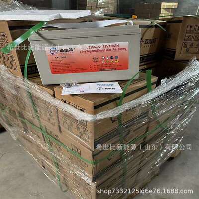 森雷特蓄电池LT100-12后备电源12V100AH发电站及电厂/铁路/变电站