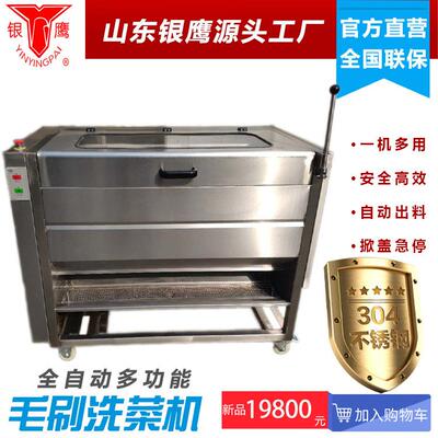 洗菜机山东CX100II全自动大型商用洗菜机果蔬清洗土豆脱