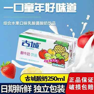 山西土特产古城乳酸菌原味酸牛奶250ml饮料古城酸奶发酵含乳饮品