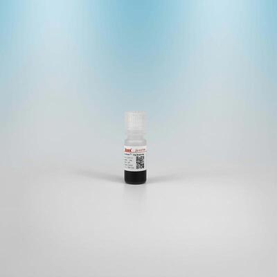 70809-5海狸DEAE磁珠蛋白纯化磁珠弱阴离子基团实验室磁珠