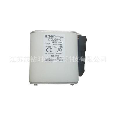 170M6541 170M6542 170M6543 巴斯曼BUSSMANN熔断器保险丝