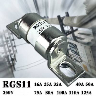 RGS11 熔断器 25A 32A 40A 50A 63A 75A 80A 100A 125A 250V