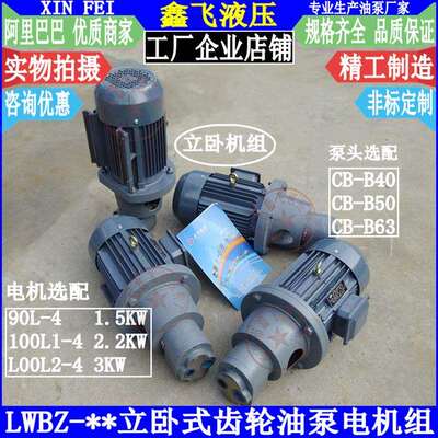LWBZ-40 LWBZ-50 LWBZ-63立卧式齿轮油泵电机组YE2 1001-4 2.2KW
