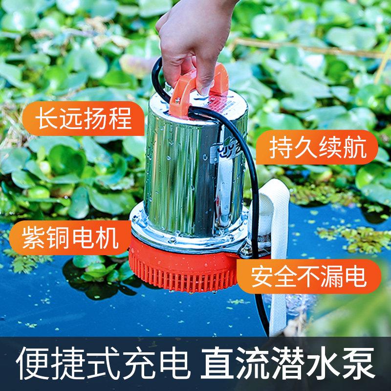 充电水泵高压潜水泵48v60v/艺电动流量高扬程电水动车农用溉抽大