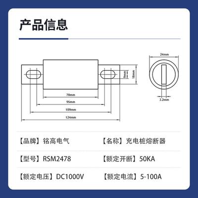 DC1000V充电桩熔断器RSM2478汽车熔断器(RS309,FWH100A,HEV)100A