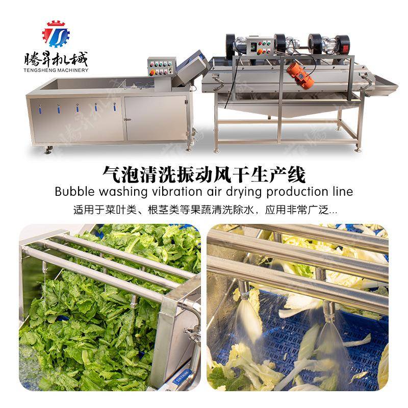 振动风干机 果蔬清洗风干线 食品清洗设备 果蔬加工生产线 可定