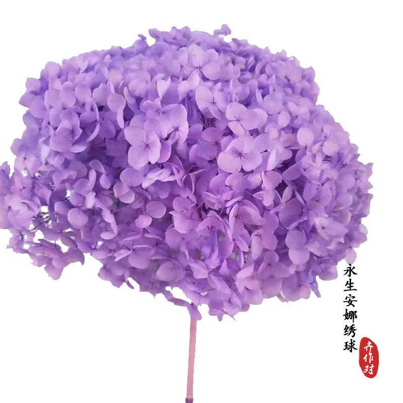 云南永生花绣球安娜绣球花保鲜木绣球七夕情人节礼盒花材装饰礼花