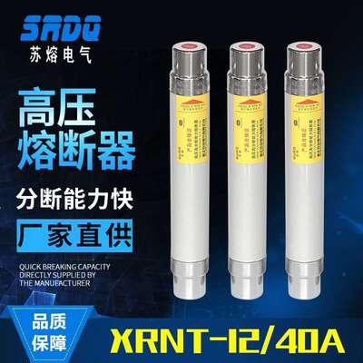 12KV高压高分段限流熔断器XRNT-10KV/10A16A25A40A环网柜专用熔管