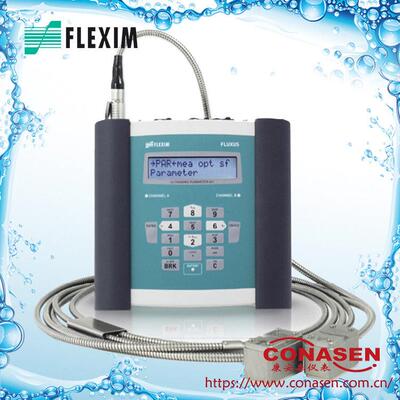 德国FLEXIM（弗莱克森）手持式超声波流量计 F601